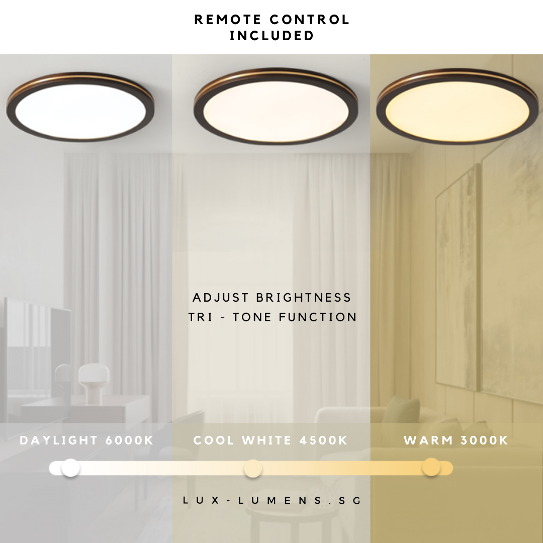 Large Circular Led Ceiling Lights | Shelly Lighting